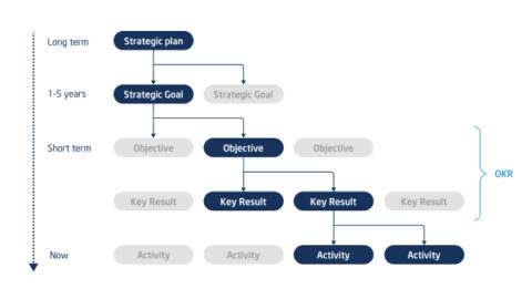 OKRs: From Strategy to Results - ITM Platform